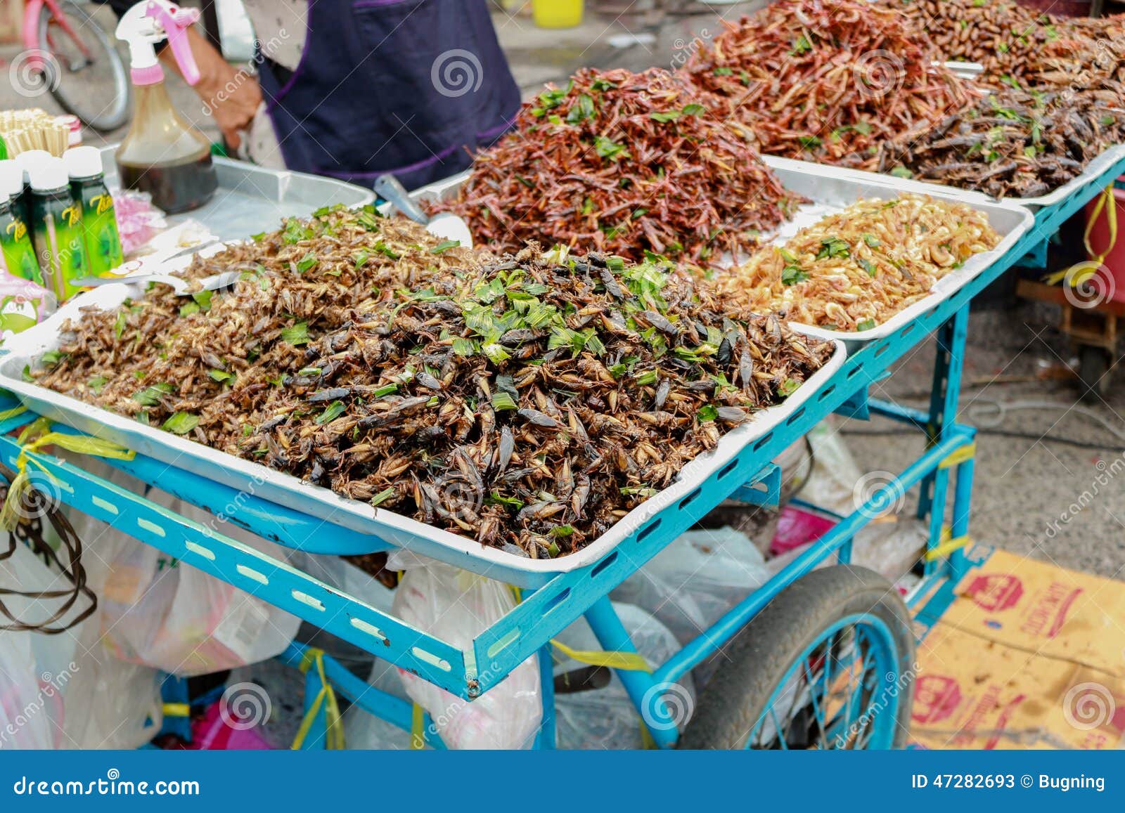 Fried insects stock image. Image of food, insects, produce - 47282693