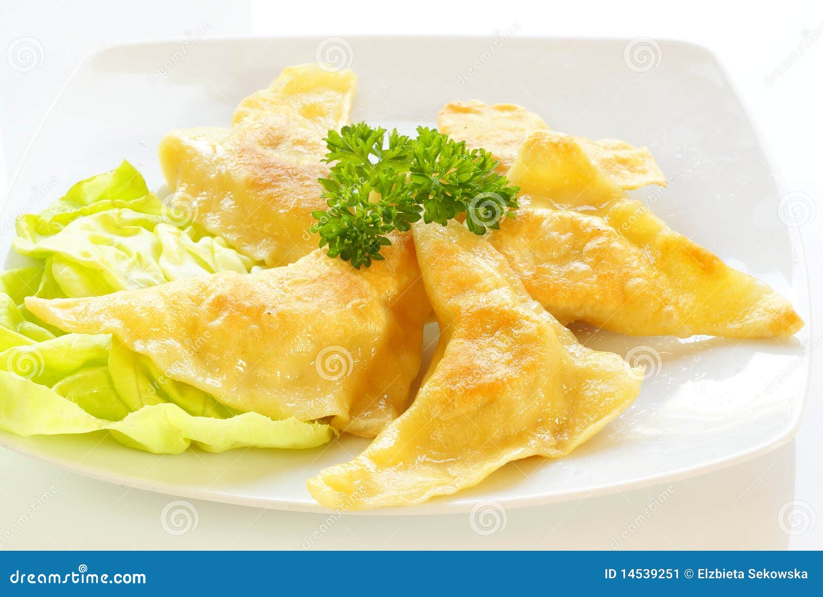 Fried Kreplach - Jewish Ravioli Stock Image - Image of pastry ...