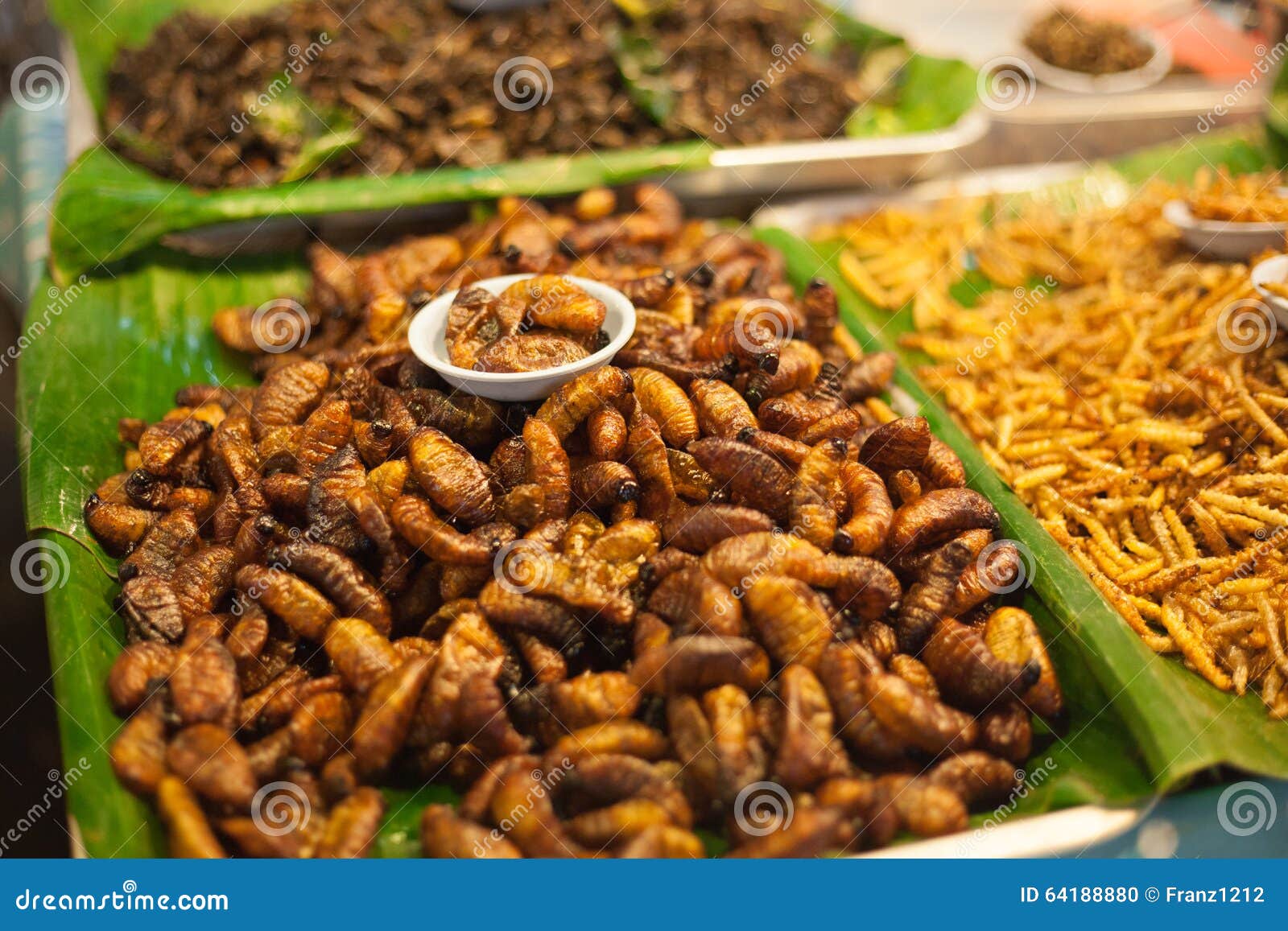 Fried larvae on the market stock photo. Image of asian - 64188880