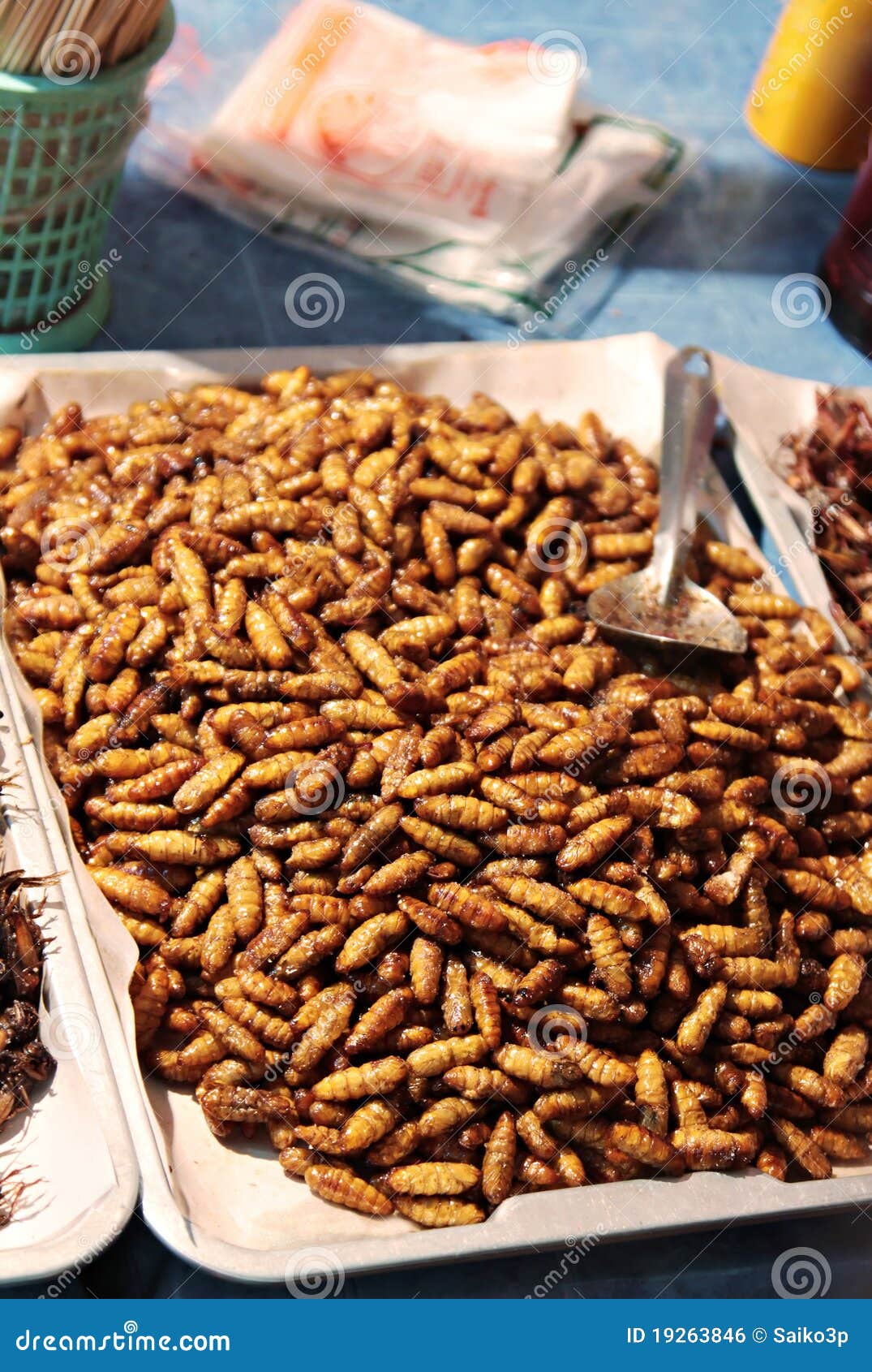 Fried larvas stock photo. Image of beetle, creepy, cook - 19263846
