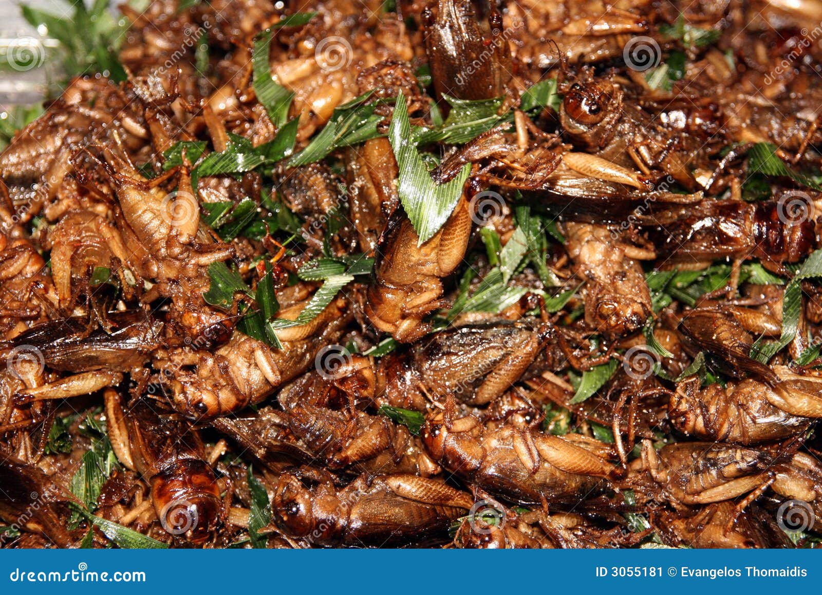 Fried locust 2 stock image. Image of fair, crunchy, chip - 3055181