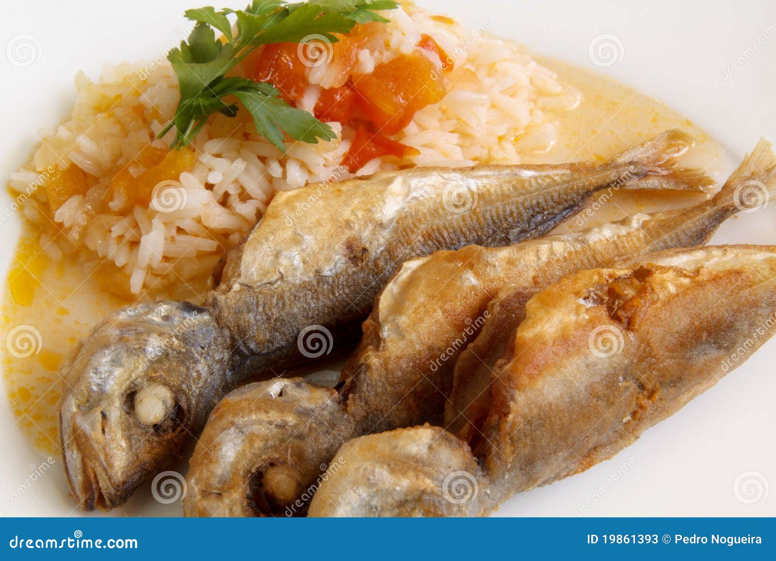 Fried mackerel stock image. Image of gourmet, dinner - 19861393