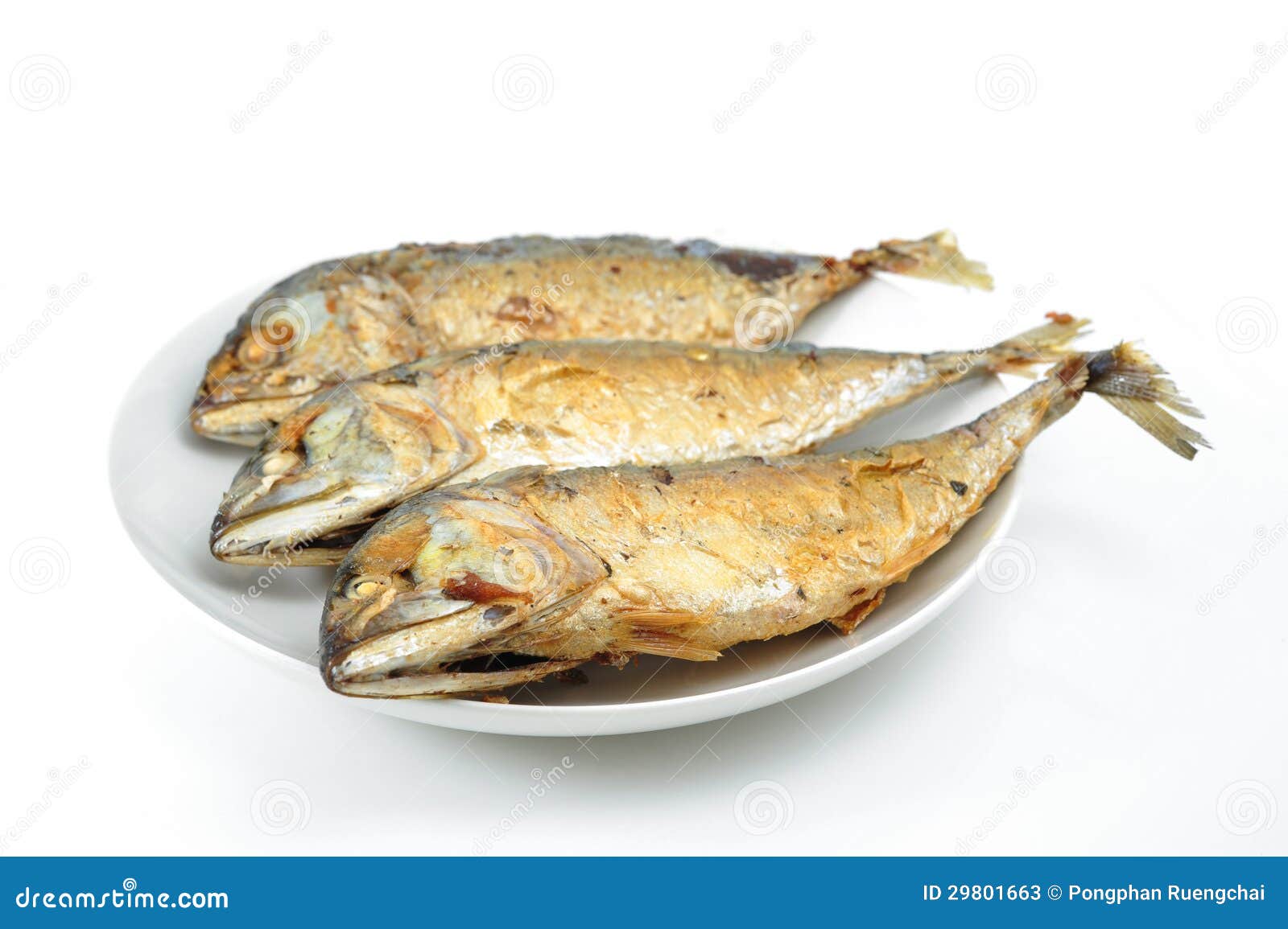 Fried Mackerel stock image. Image of healthy, freshness - 29801663