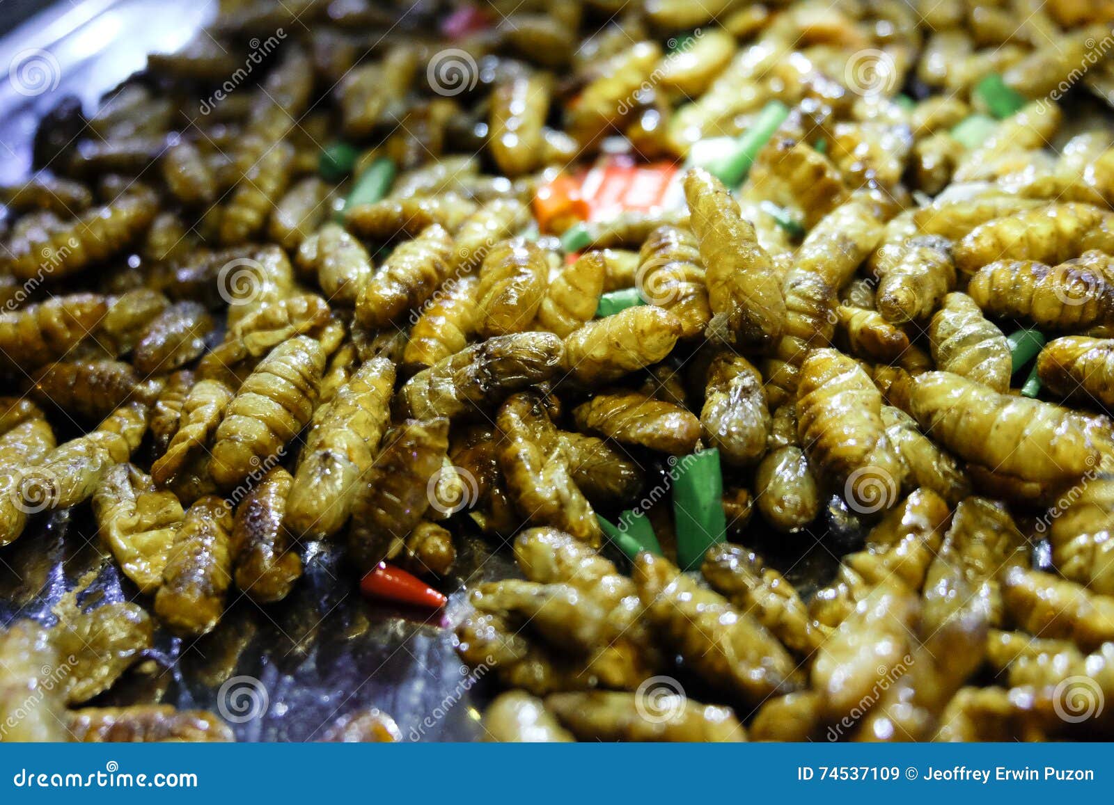 Fried Maggots stock image. Image of asia, chilis, reap - 74537109