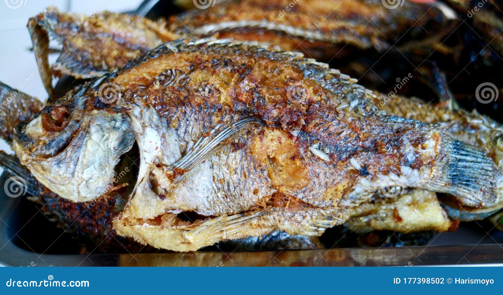 Fried Mozambique tilapia stock photo. Image of mozambique - 177398502