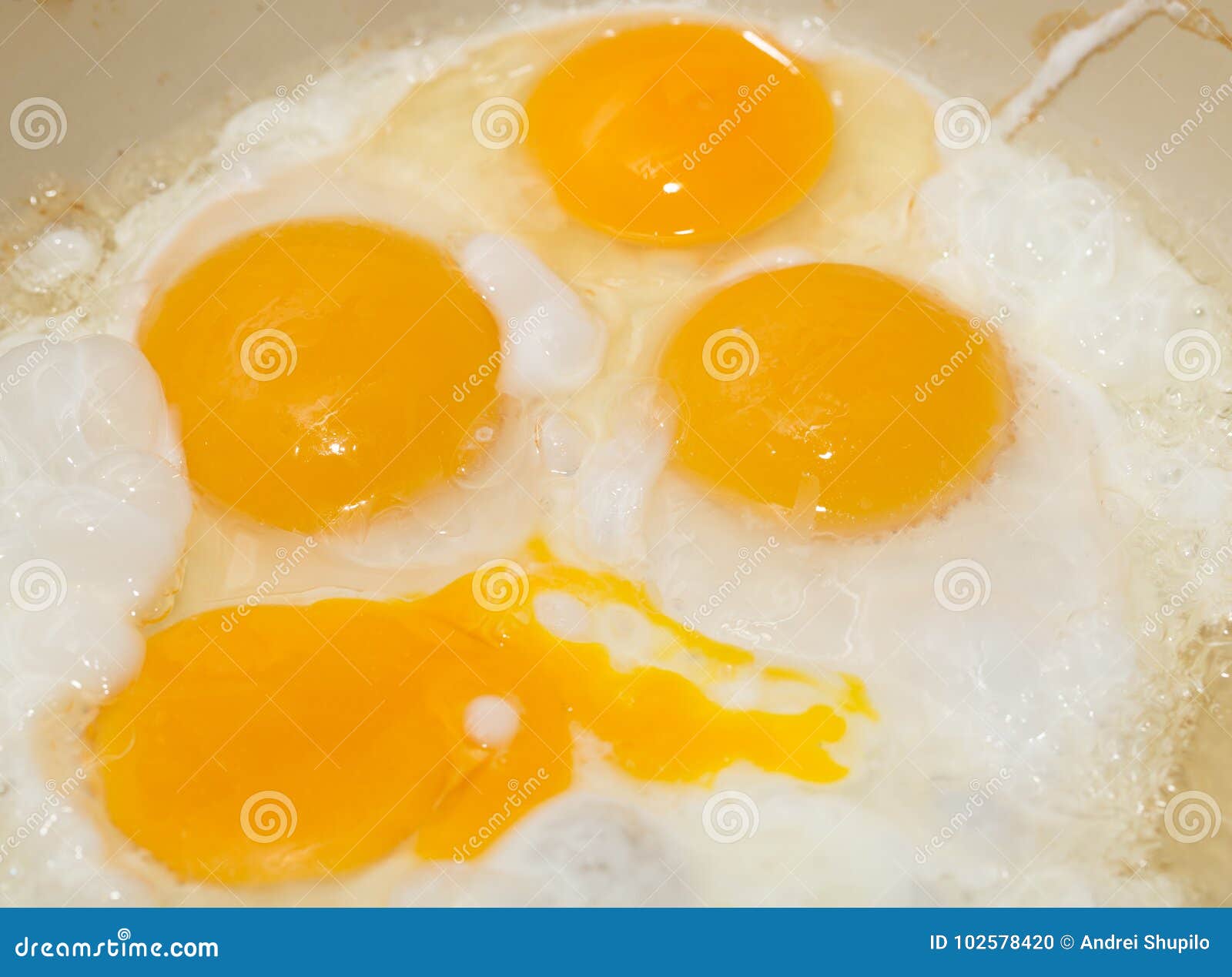 Fried in a pan stock photo. Image of fried, nutrition - 102578420