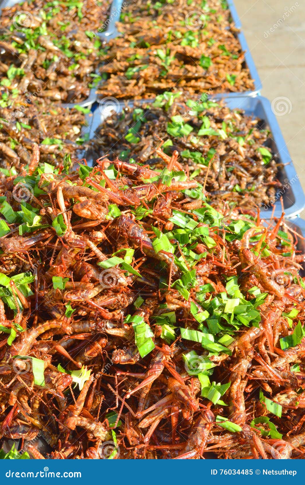 Fried Patanga Grasshopper Stock Image | CartoonDealer.com #76034485