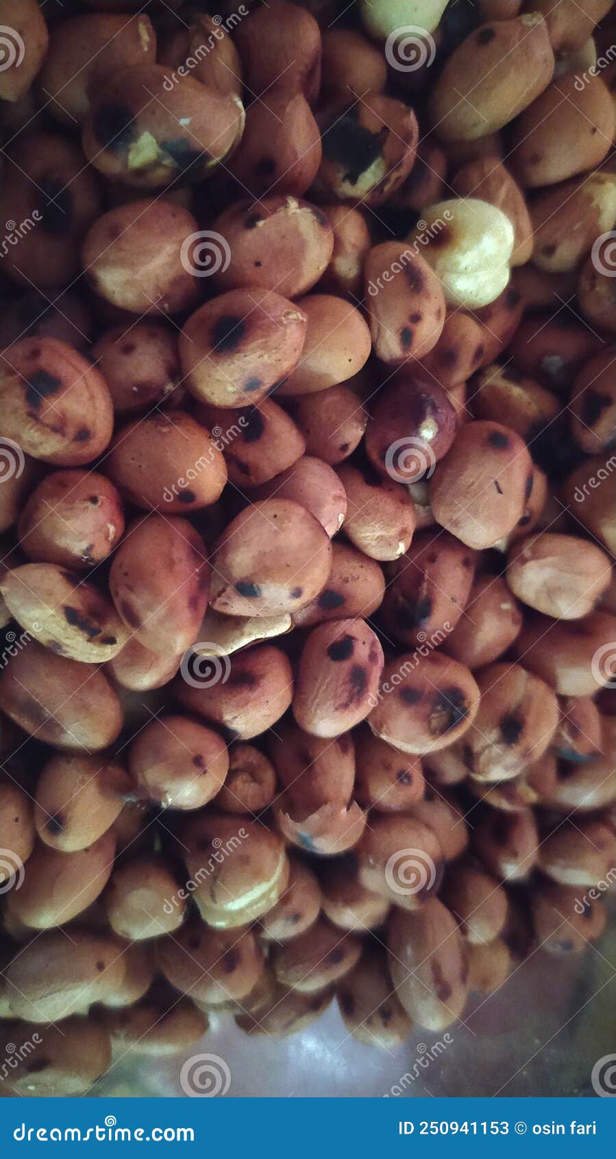 Fried peanuts for egg nuts stock image. Image of peanuts - 250941153