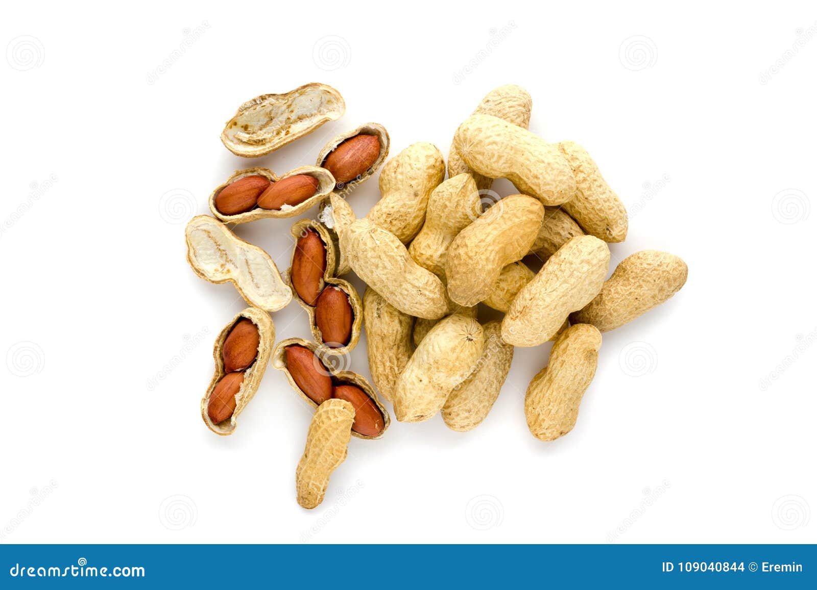 Fried peanuts in shell. stock photo. Image of peanuts - 109040844