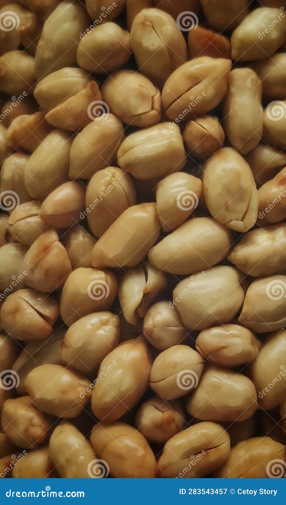 Panuts Wallpaper Background Potrait Shoot Stock Image - Image of crop ...