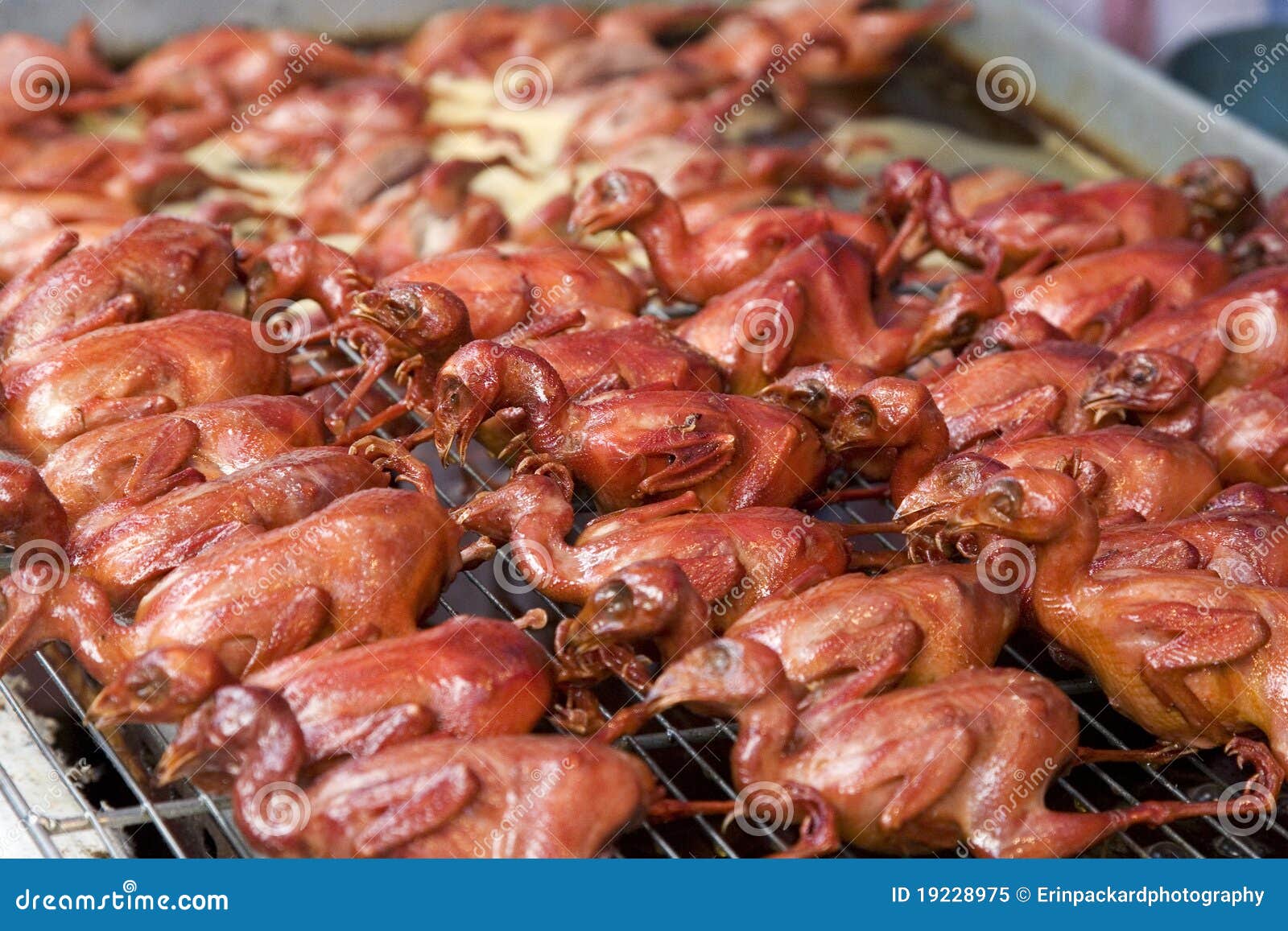 Fried Pigeons stock image. Image of bird, pigeons, china - 19228975