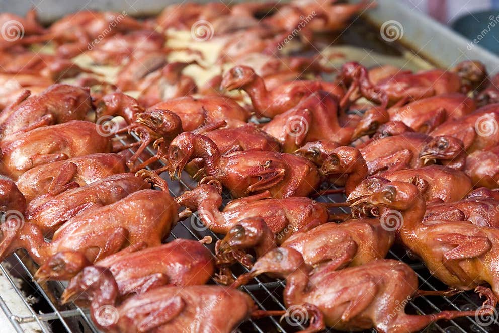 Fried Pigeons stock image. Image of bird, pigeons, china - 19228975