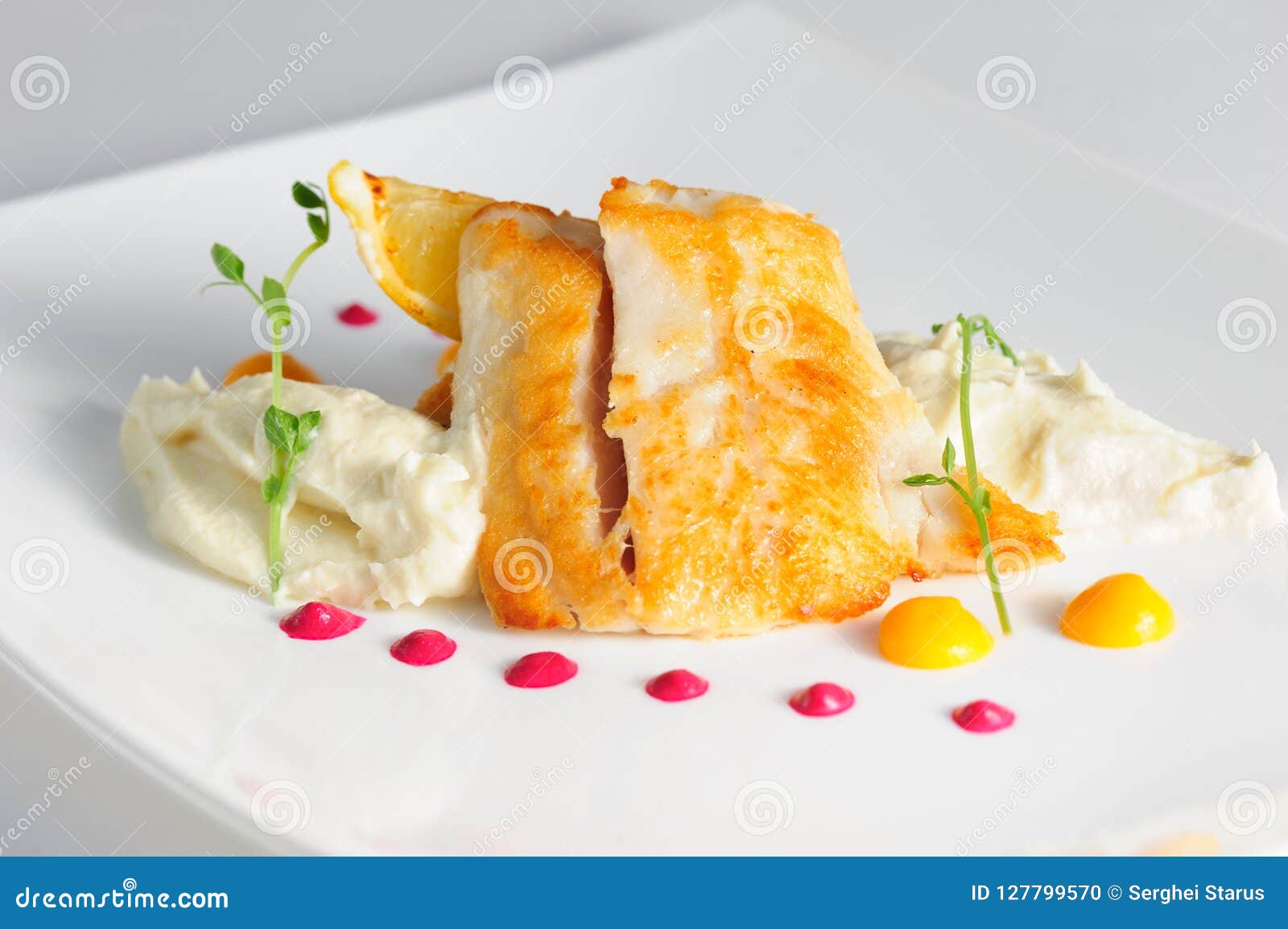 Fried Pikeperch with Celery Puree Stock Photo - Image of fresh, perch ...