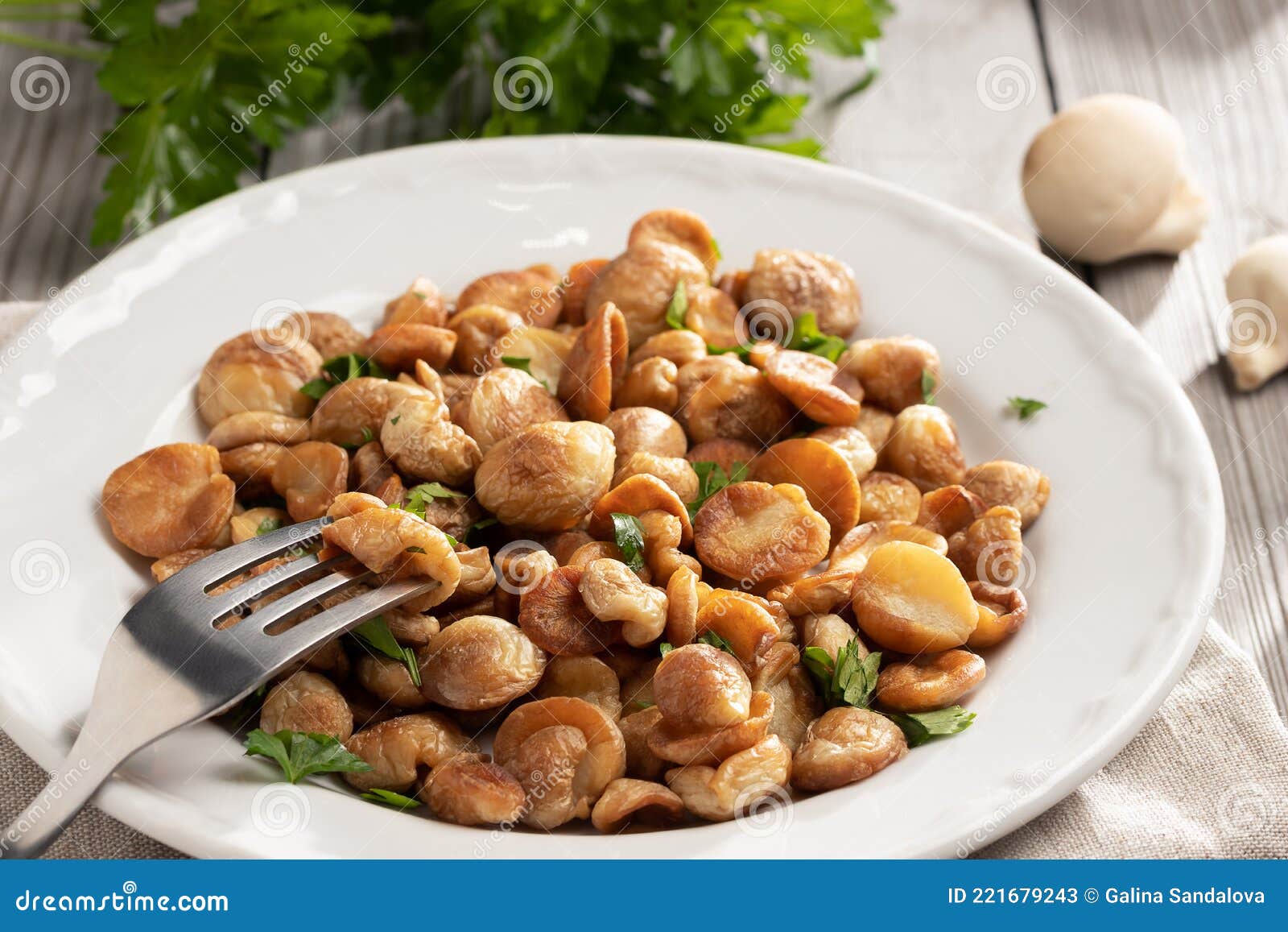 Fried Puffball Mushrooms on a White Plate with a Fork. Fried Mushroom ...
