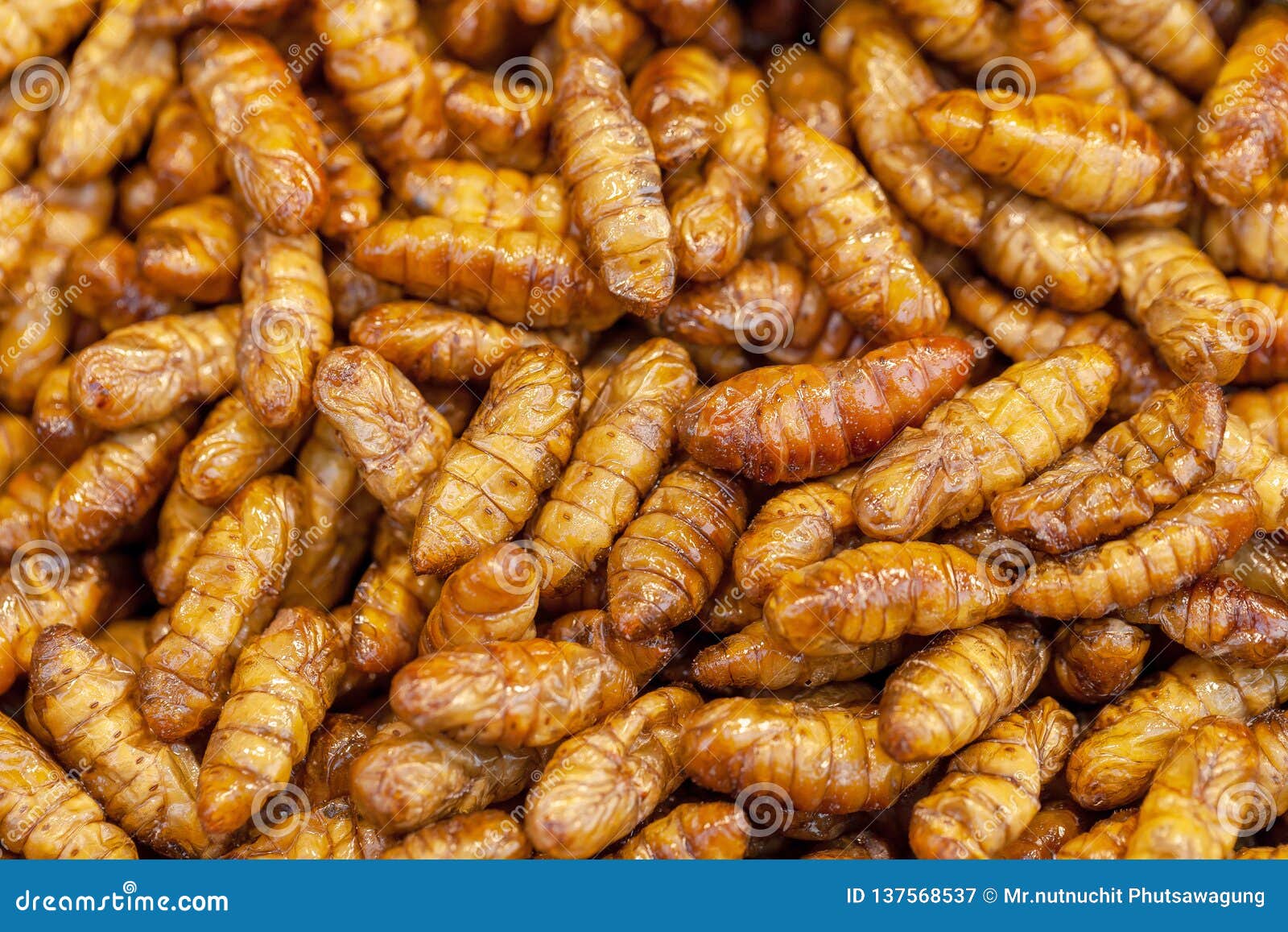 Fried Pupa on Street Food.selective Focus Stock Image - Image of brown ...