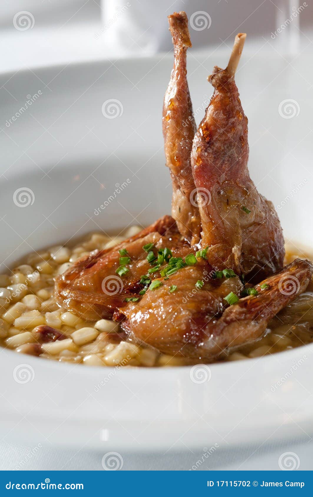 Fried quail appetizer stock photo. Image of glass, quail - 17115702