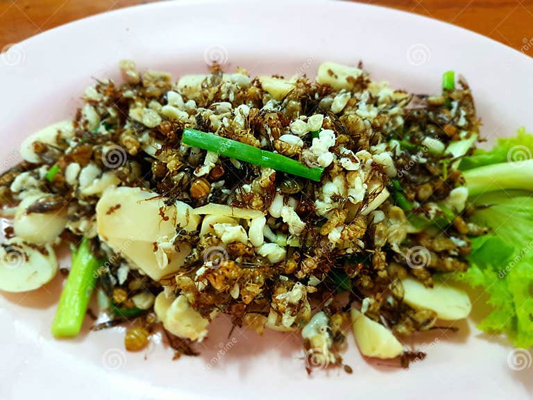 Fried red ant eggs stock photo. Image of amazing, food - 75881722
