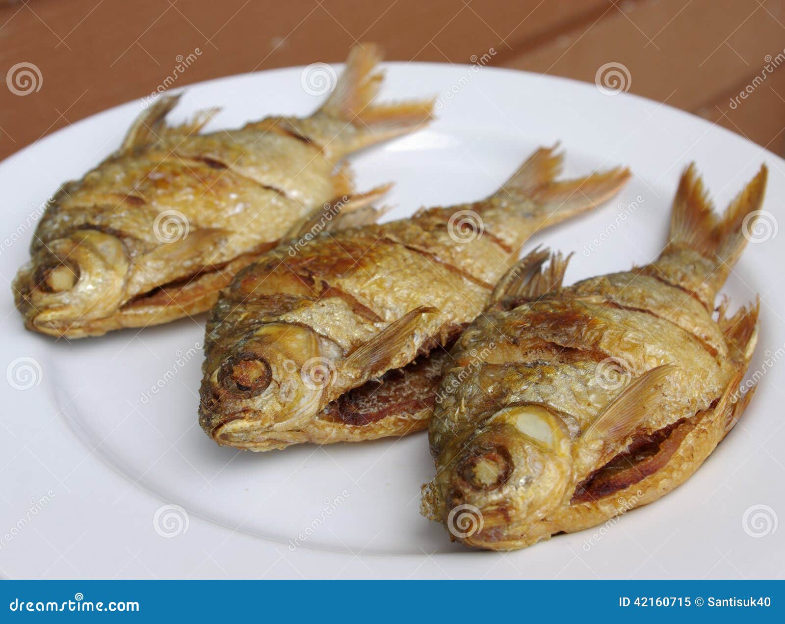 Fried red-fin barb stock image. Image of crispy, freshwaterfish - 42160715
