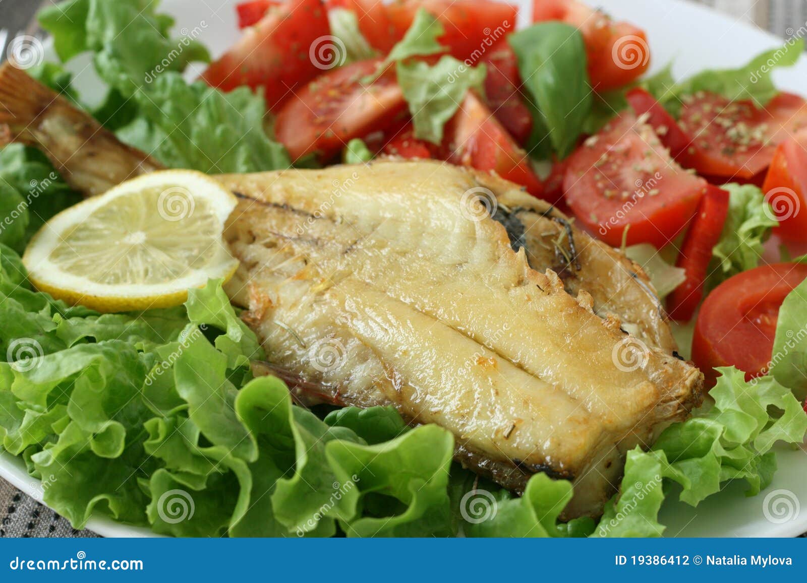Fried red-fish with salad stock photo. Image of plate - 19386412