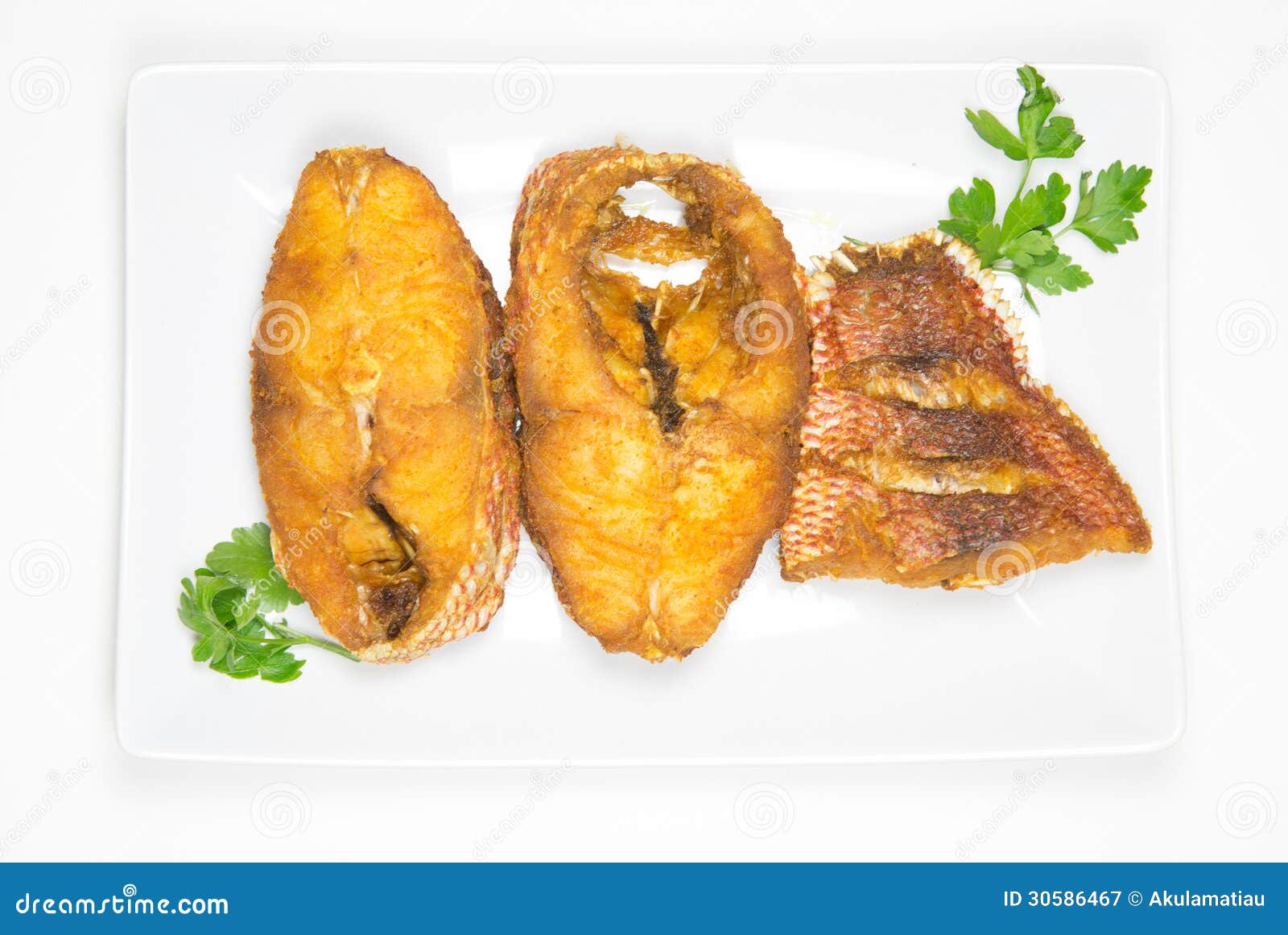 Fried Red Snapper stock image. Image of healthy, cooked - 30586467