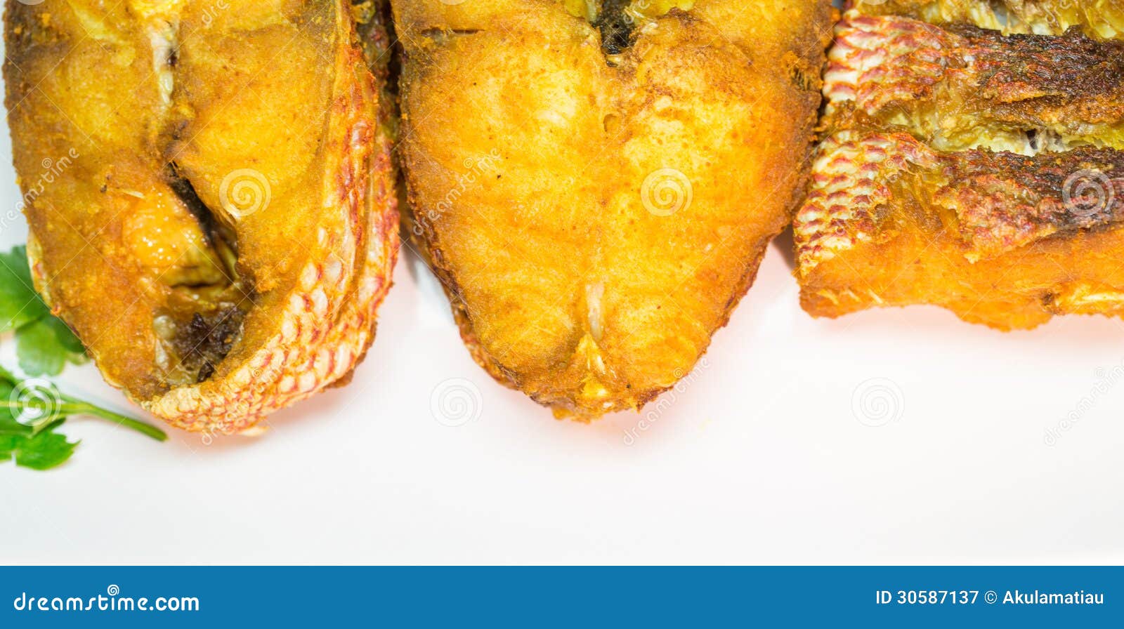 Fried Red Snapper V imagem de stock. Imagem de cromo - 30587137