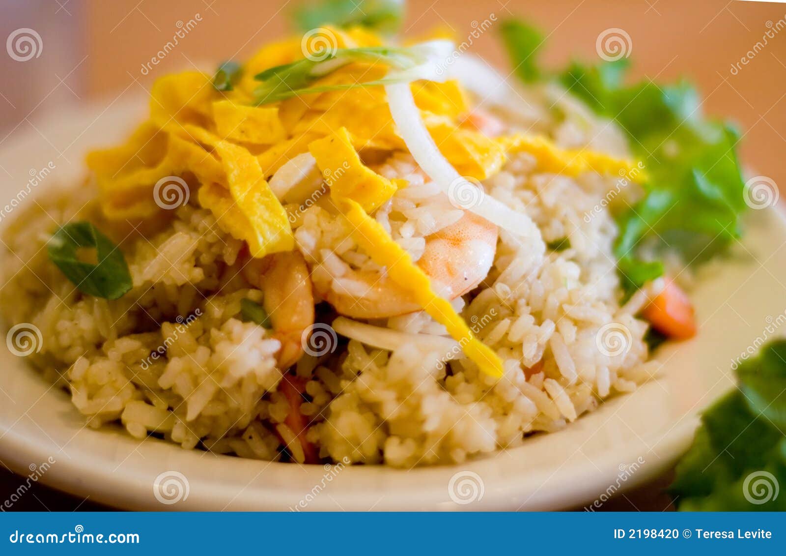 Fried Rice stock photo. Image of rice, dinner, plate, dish - 2198420