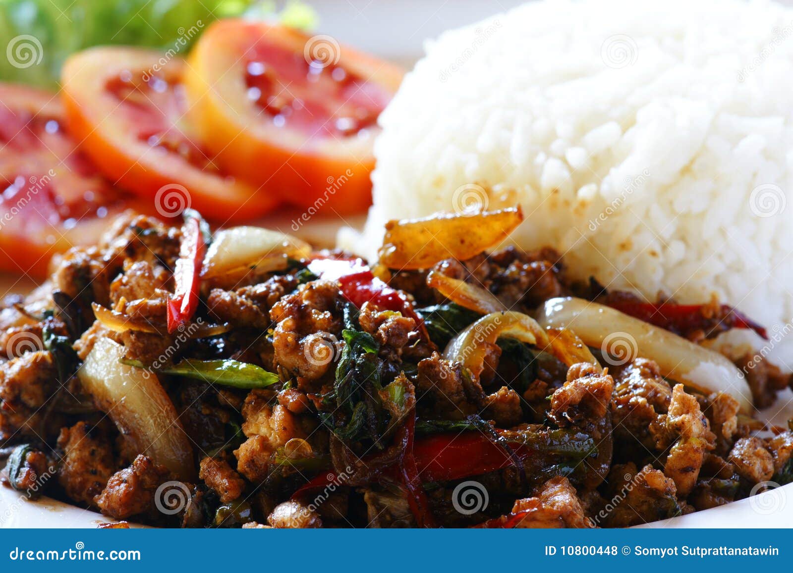 Fried rice with berb stock photo. Image of herb, food - 10800448