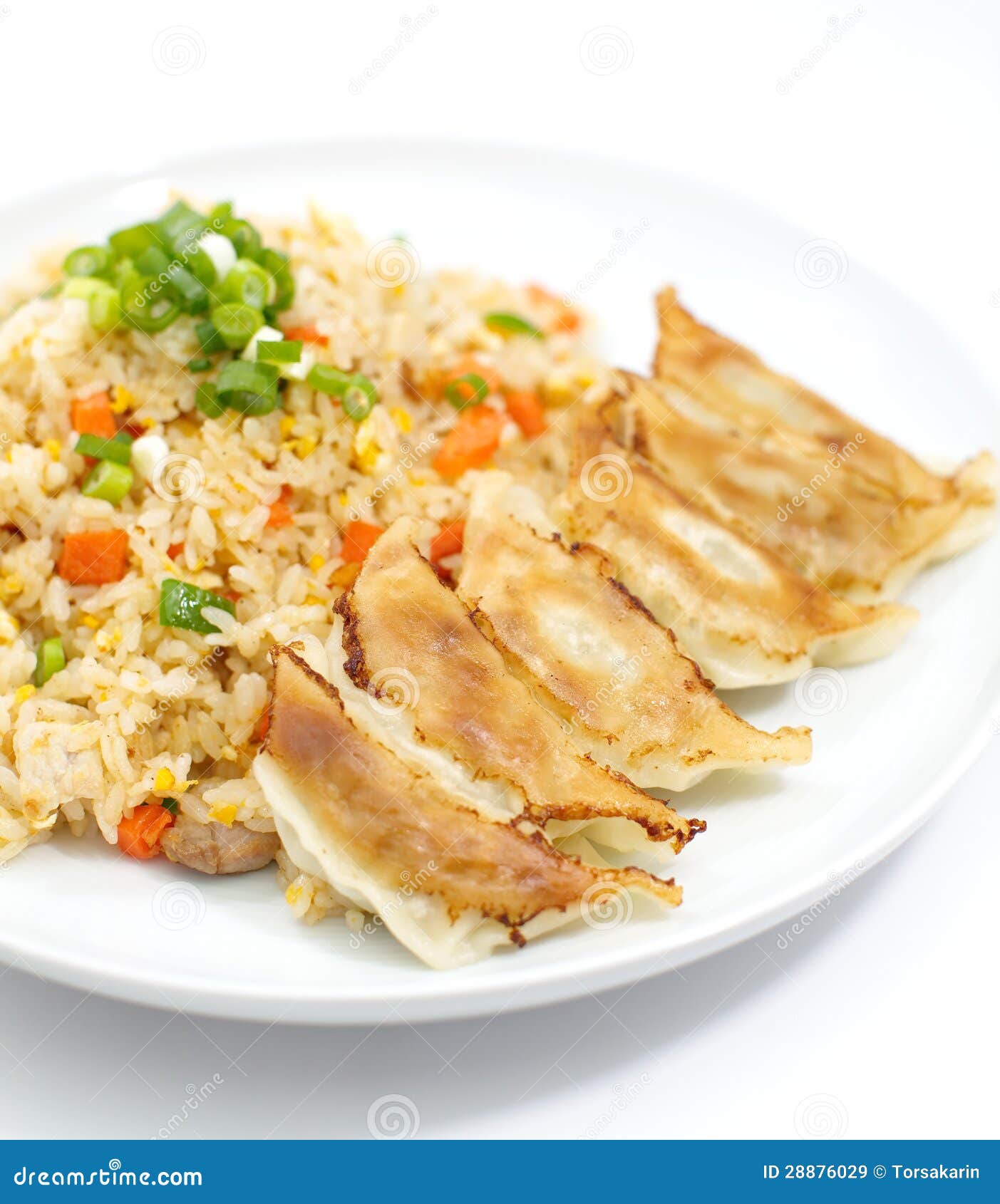 Fried Rice with Fried Dumplings Set Stock Image - Image of white, food ...