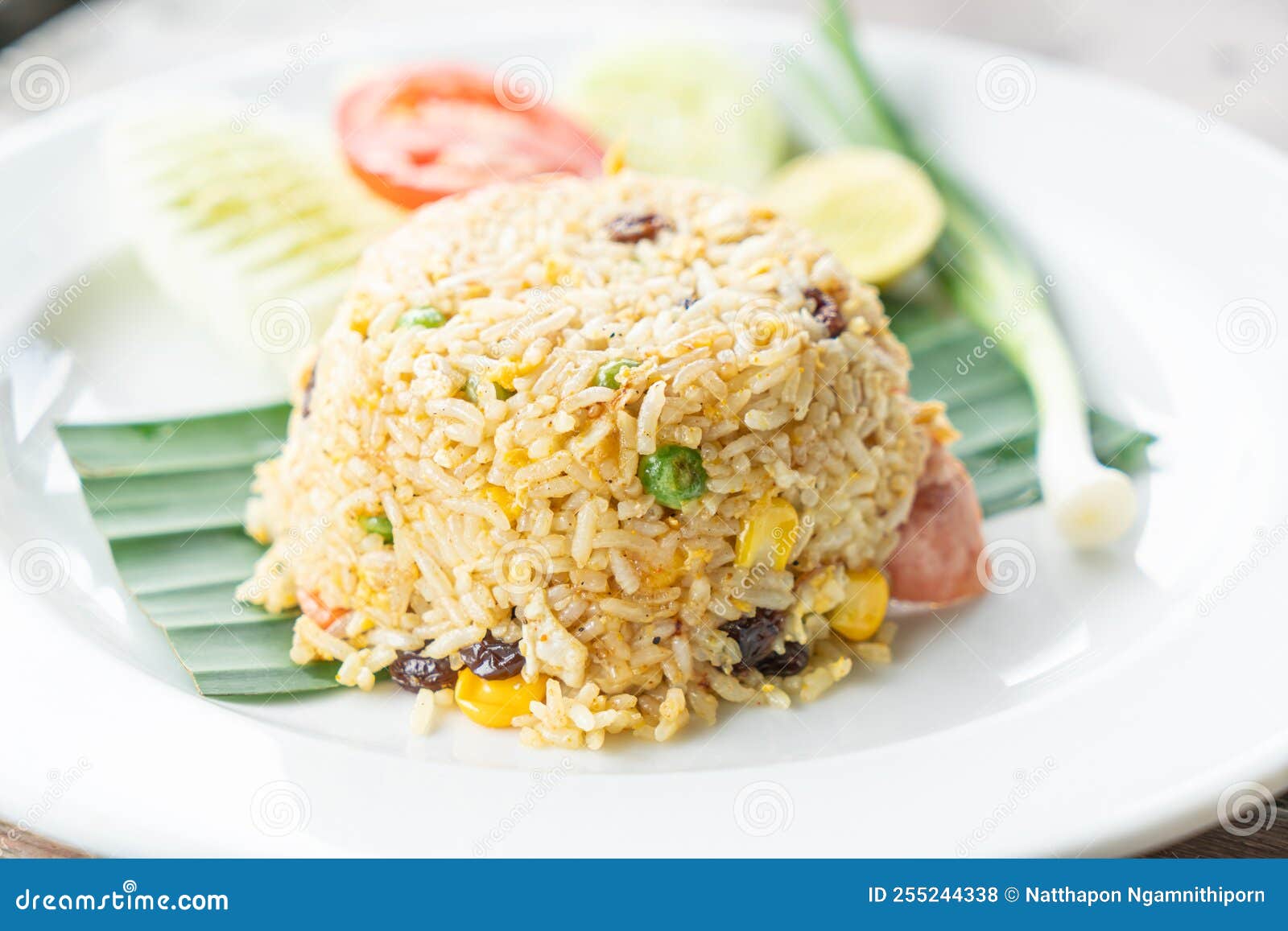 Fried rice on white plate stock photo. Image of cuisine - 255244338