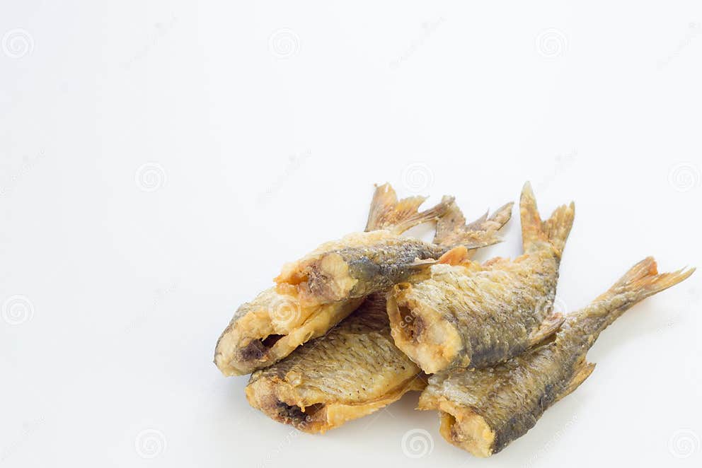 Fried roach fish. stock photo. Image of perfect, kitchen - 59765090