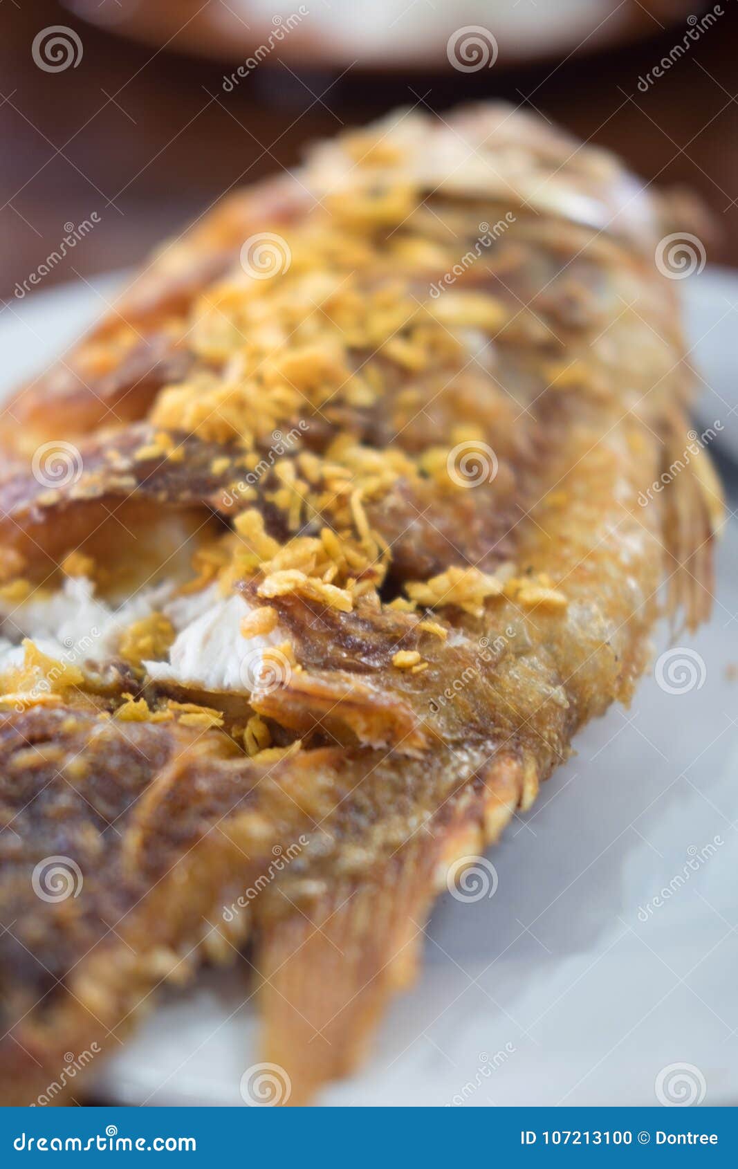 Fried ruby fish on dish stock photo. Image of tasty - 107213100
