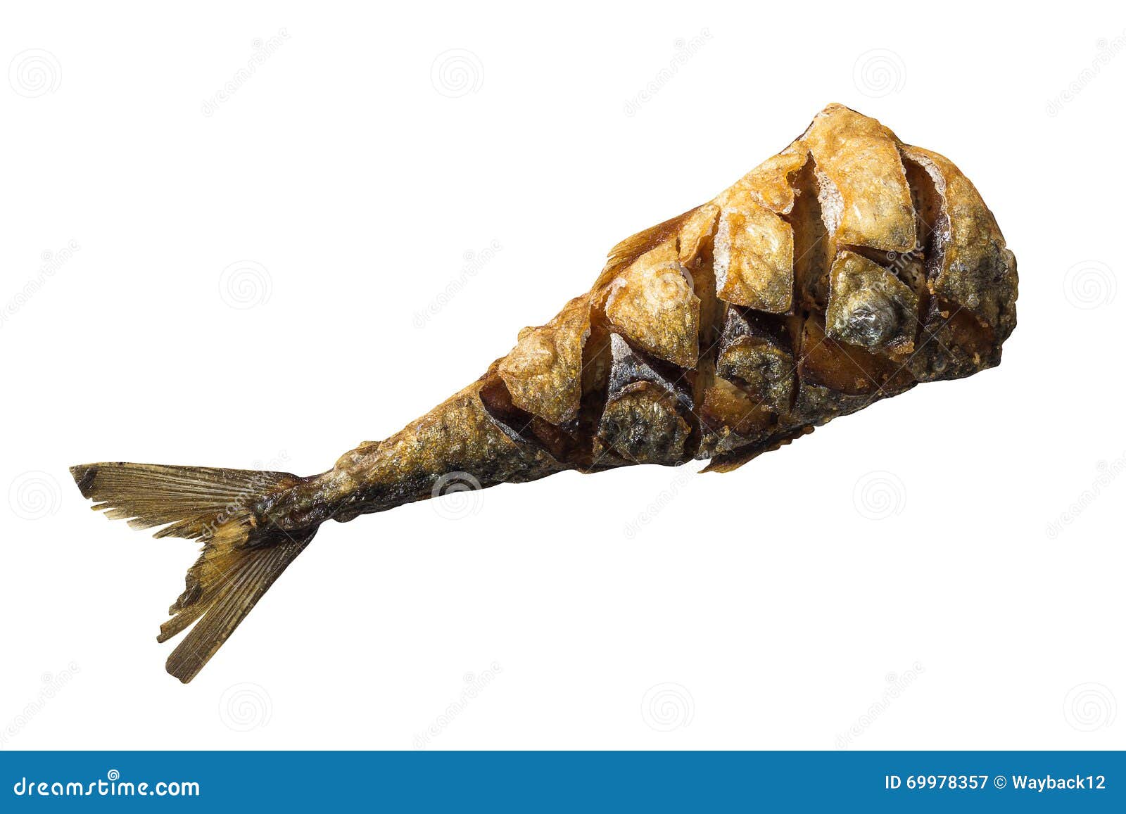 Fried Saba or Mackerel Fish Stock Image - Image of dinner, mackerel ...