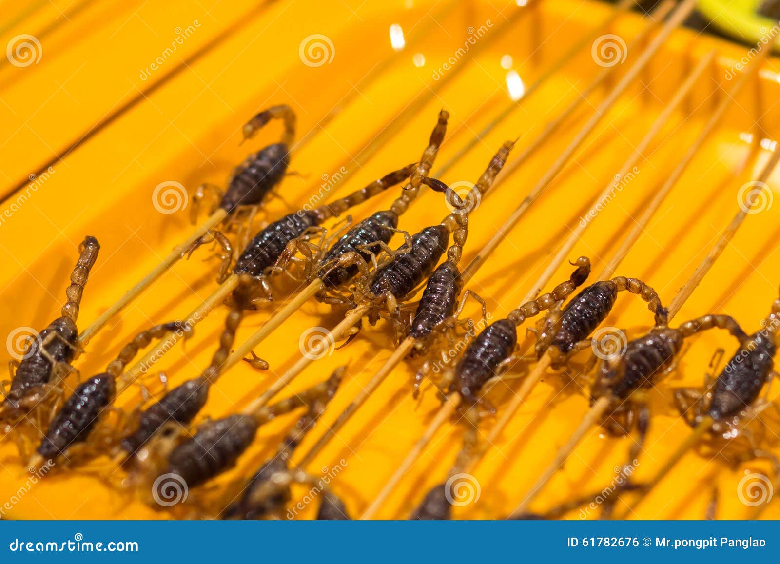 Fried scorpion stock photo. Image of asian, thailand - 61782676