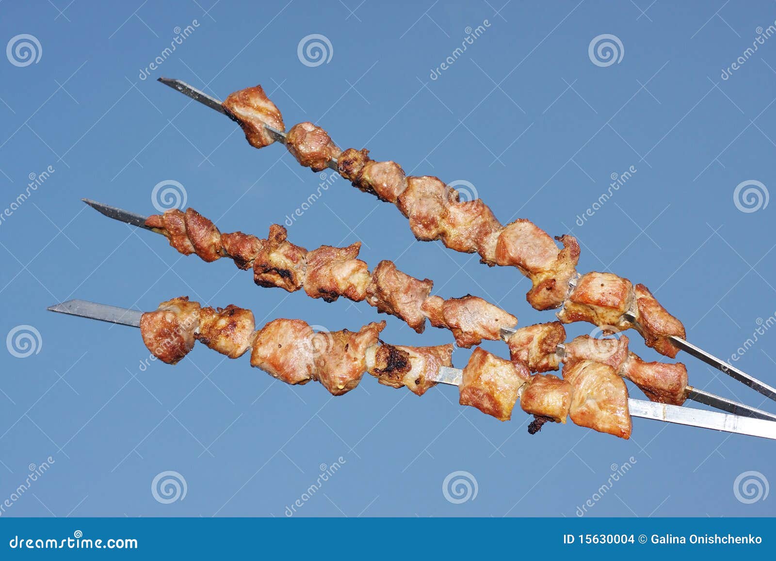 Fried shashlick on nature stock photo. Image of shashlick - 15630004