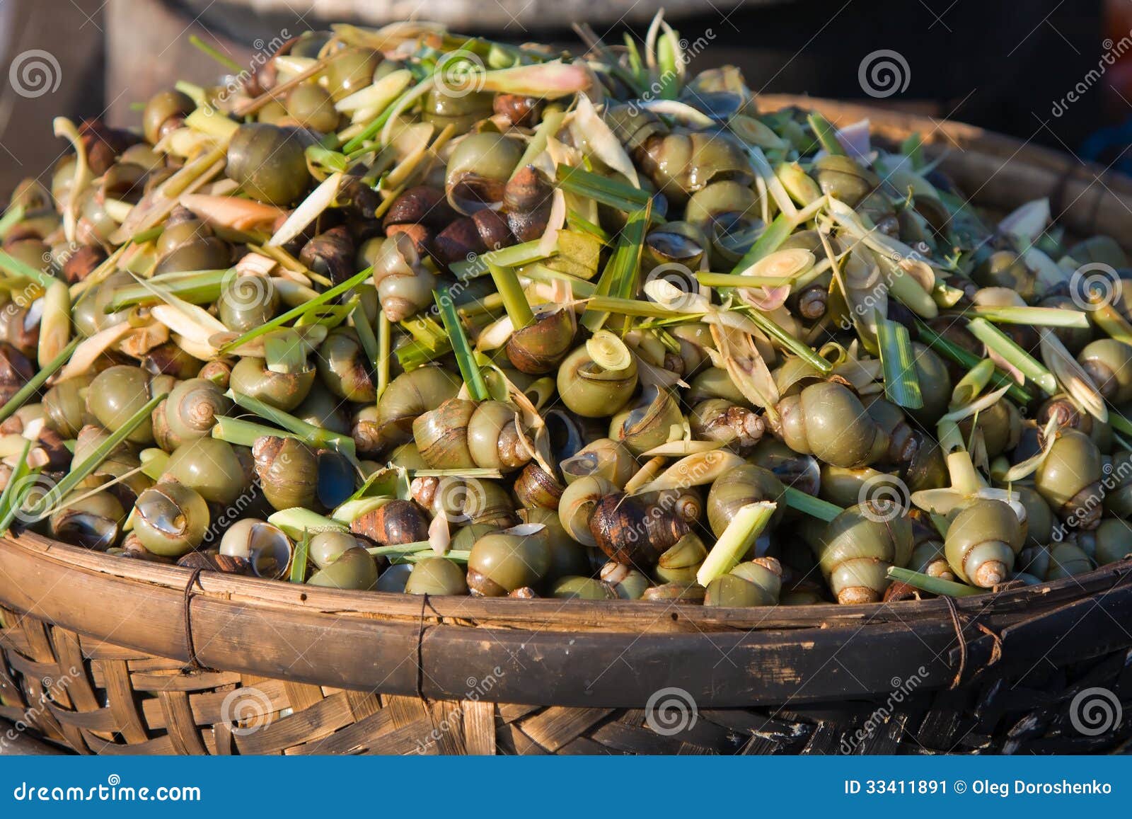 Fried shell stock image. Image of boil, bulk, food, meal - 33411891