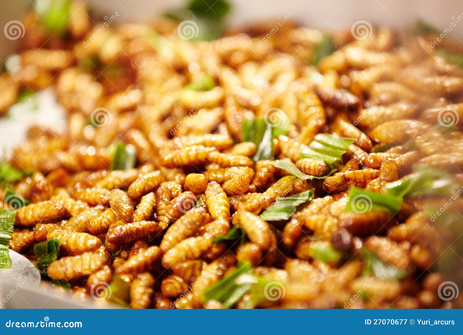 Fried silk worm larvae stock image. Image of thailand - 27070677