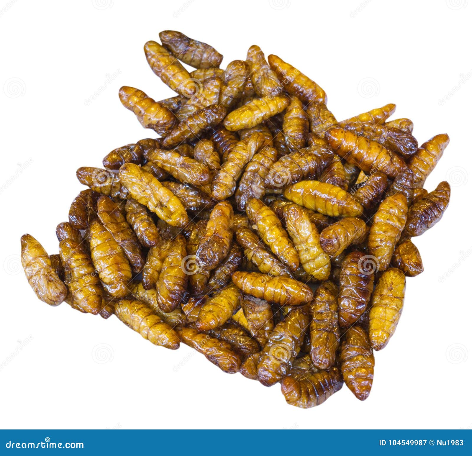 Fried Silkworm Pupa on a White Background Stock Image - Image of asian ...