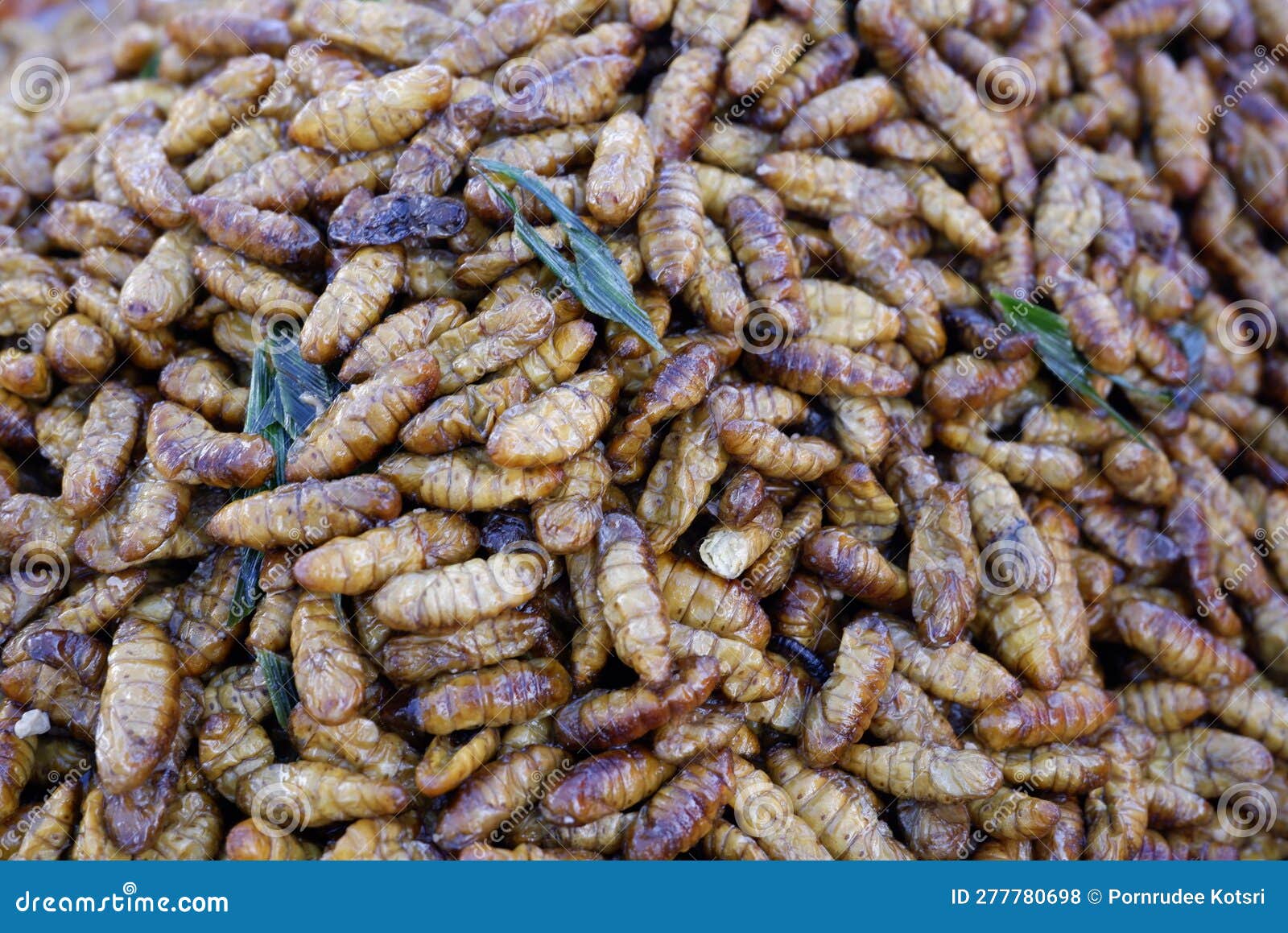 Fried Silkworm Pupae for Food Stock Photo - Image of chrysalis, case ...