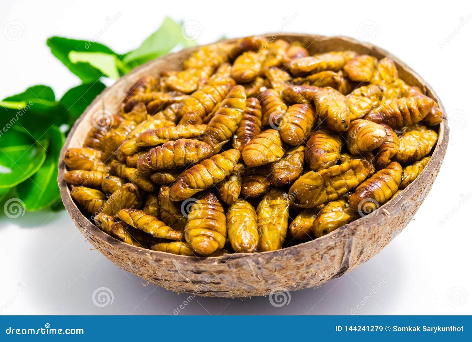Fried silkworm`s pupa stock image. Image of delicious - 144241279