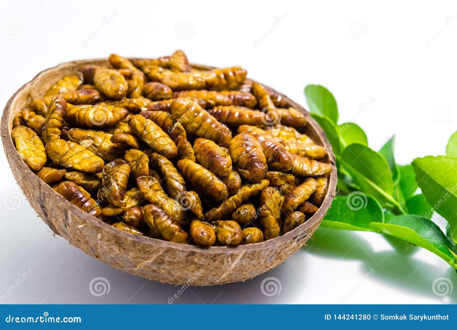 Fried silkworm`s pupa stock photo. Image of lunch, healthy - 144241280