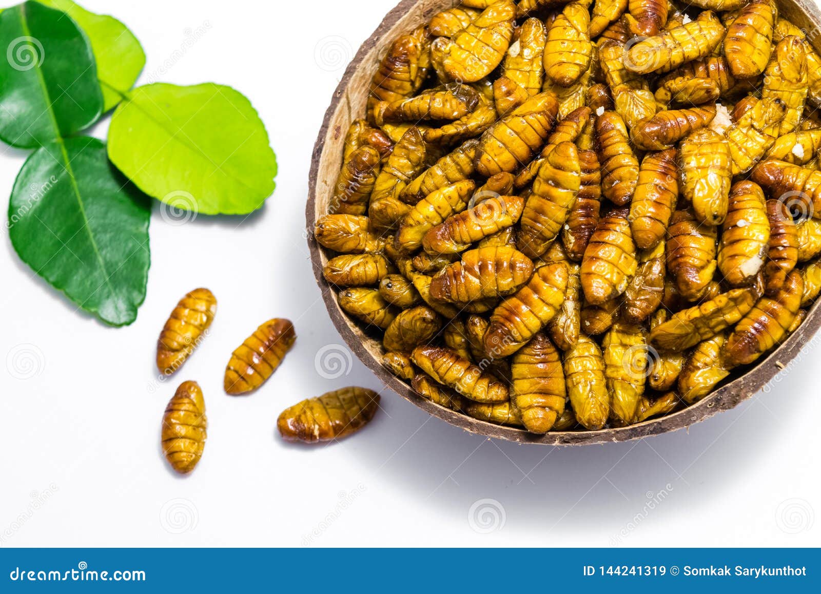 Fried silkworm`s pupa stock image. Image of breakfast - 144241319