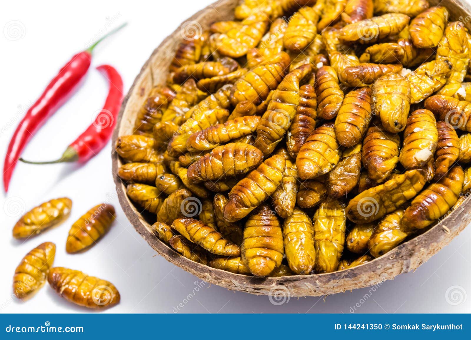 Fried silkworm`s pupa stock photo. Image of meal, food - 144241350