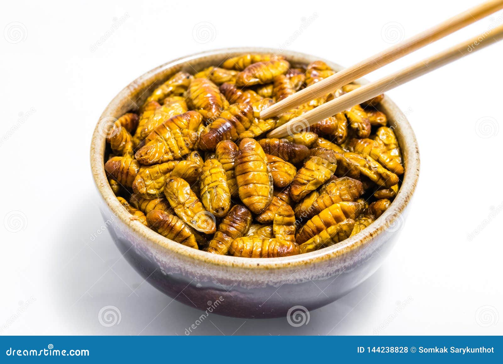 Fried silkworm`s pupa stock photo. Image of asian, gourmet - 144238828