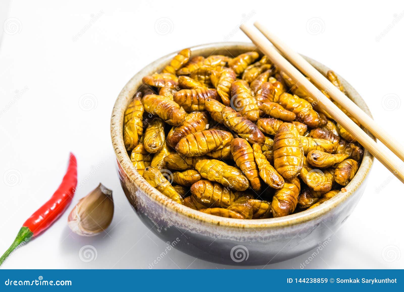 Fried silkworm`s pupa stock image. Image of diet, food - 144238859