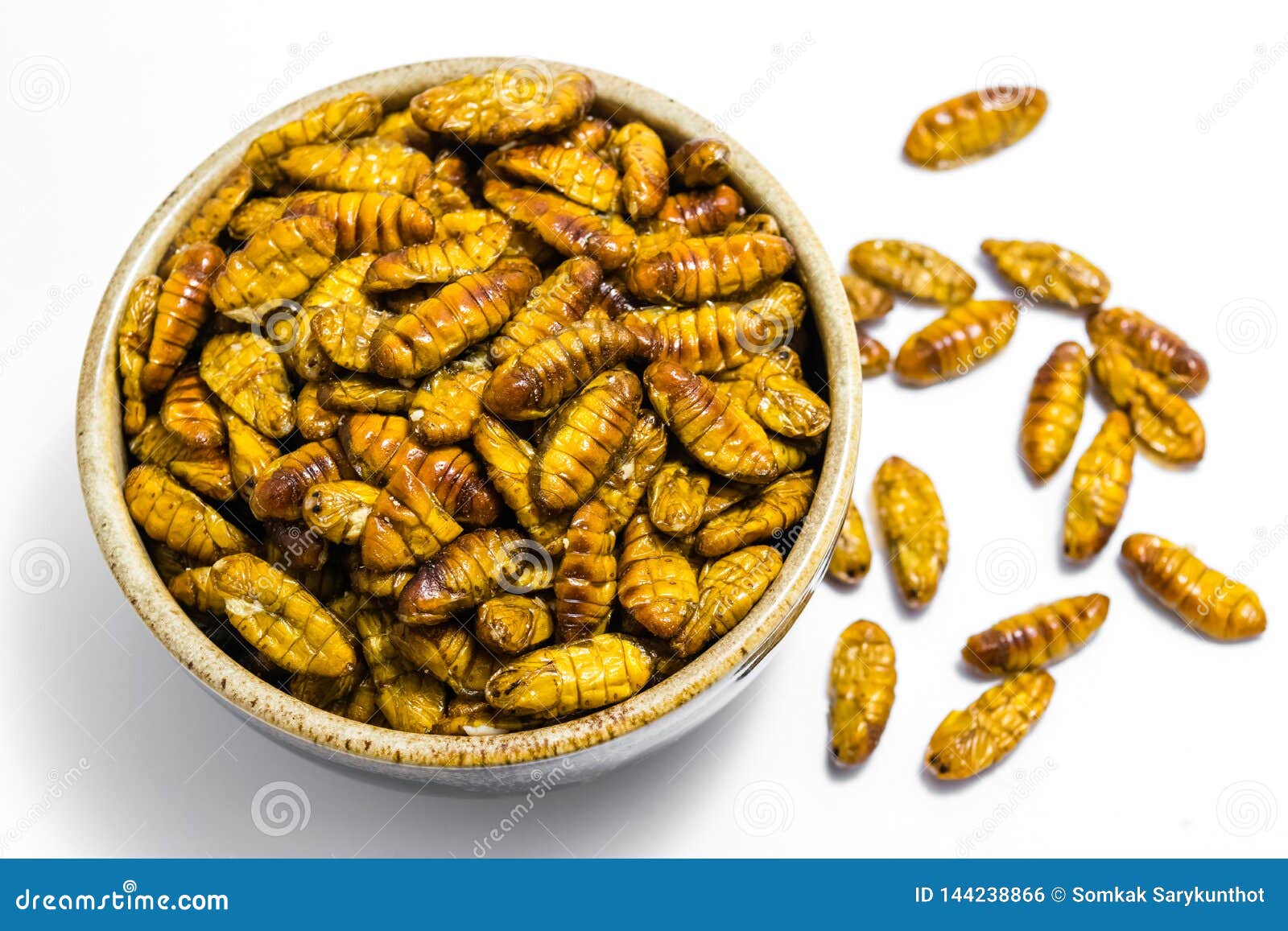 Fried silkworm`s pupa stock photo. Image of fried, asian - 144238866