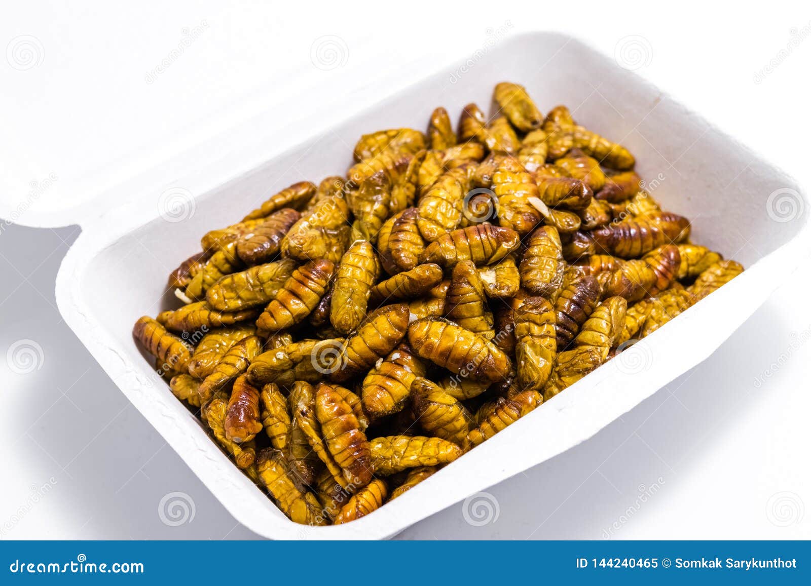 Fried silkworm`s pupa stock image. Image of pupa, lunch - 144240465