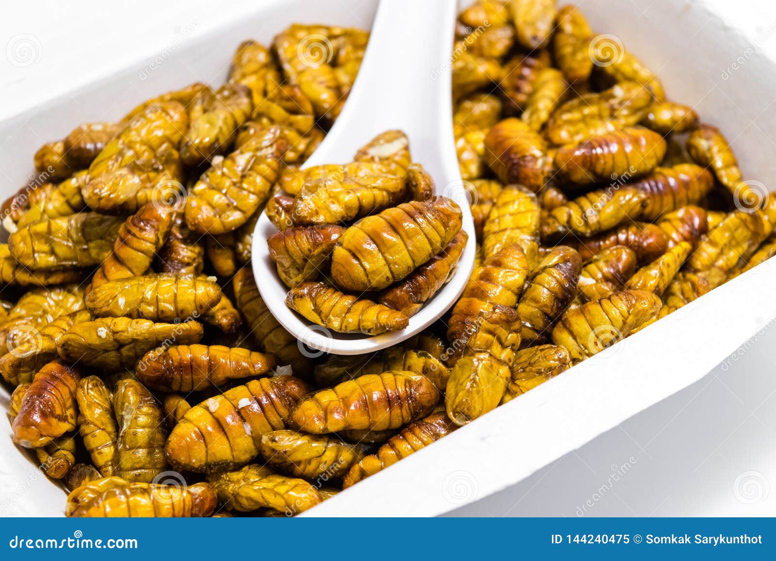 Fried silkworm`s pupa stock image. Image of cuisine - 144240475