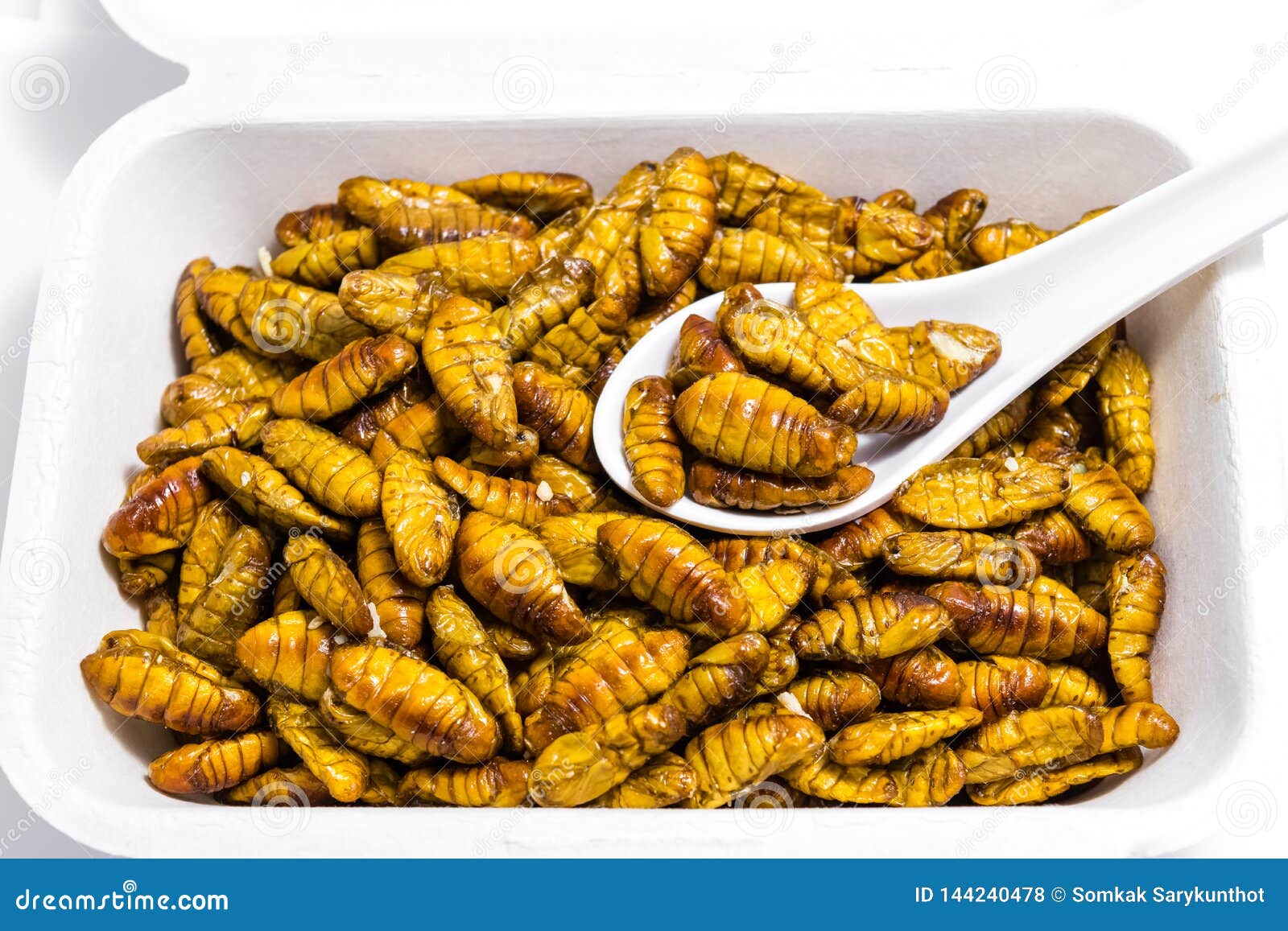 Fried silkworm`s pupa stock photo. Image of food, cuisine - 144240478