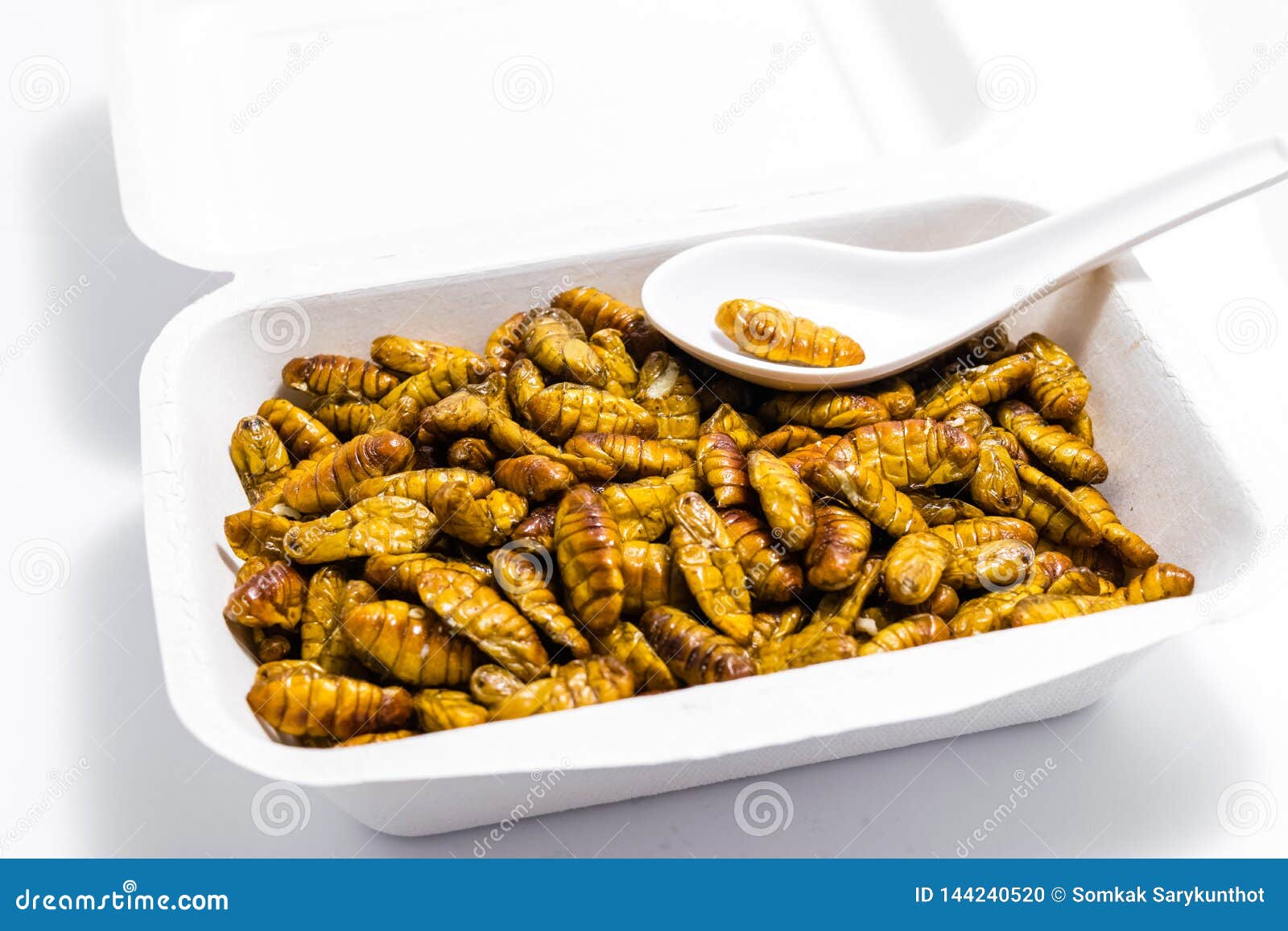 Fried silkworm`s pupa stock photo. Image of culture - 144240520