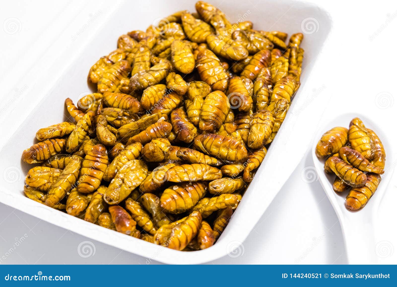 Fried silkworm`s pupa stock image. Image of lunch, cooking - 144240521